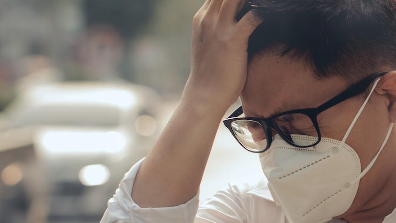 Air Pollution and Brain Health | Environmental Health Sciences Center